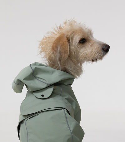 Weatherman | High Quality Umbrellas for Every Storm