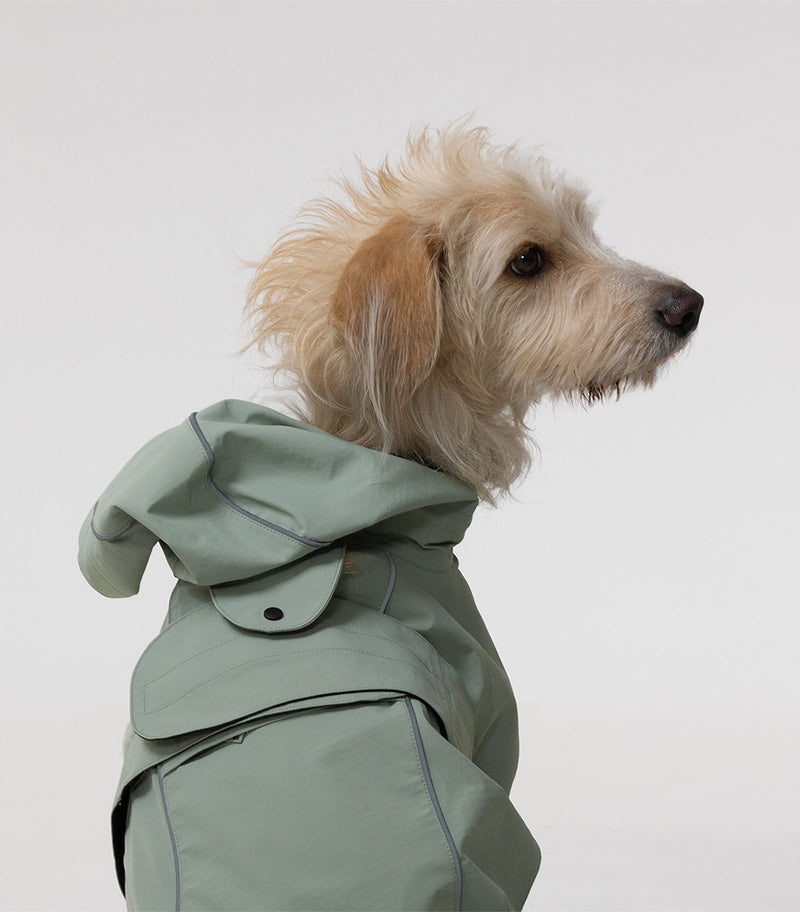 Weatherman | High Quality Umbrellas for Every Storm